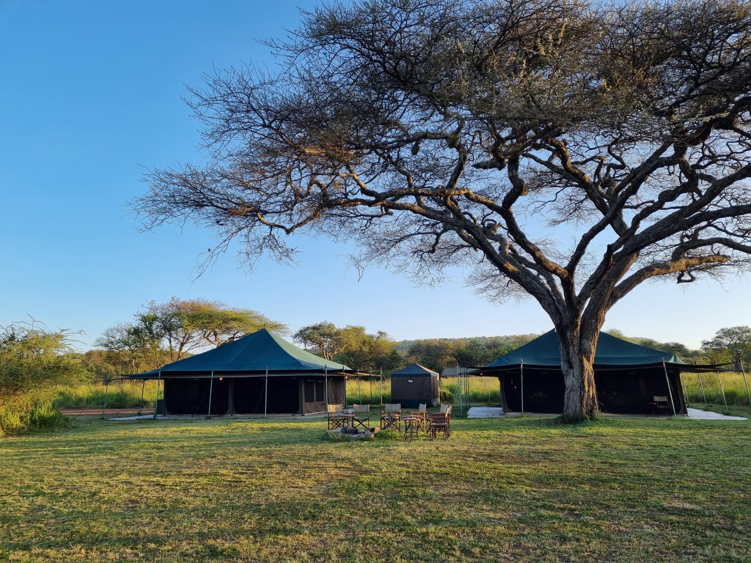 Familjeresa med safari i Serengeti och Zanzibar